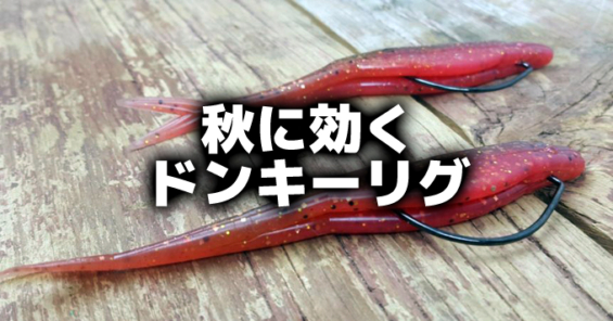 秋に効くドンキーリグ | バス釣りを学ぼう！野尻湖釣具店ブログ